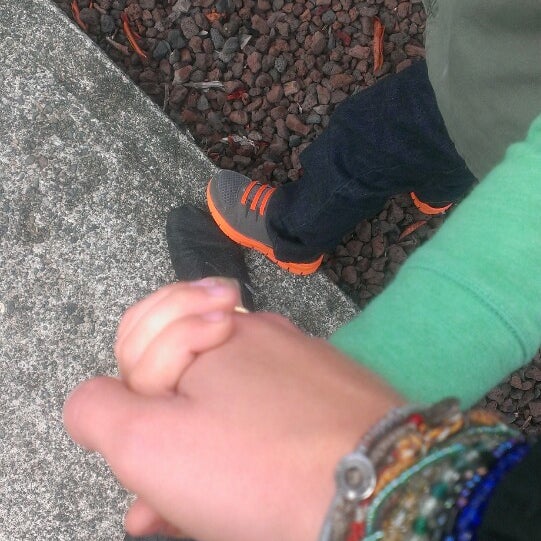 Photos at Adams Elementary - Ballard - 112 visitors