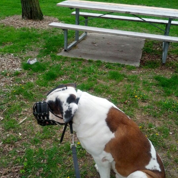 Carter Park - Playground in Hamilton