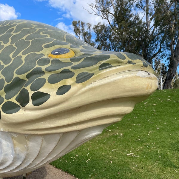 The Big Murray Cod - Monument in Tocumwal