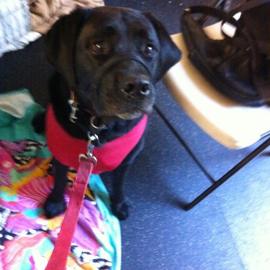 Seattle Humane Society - Woodridge - Bellevue, WA