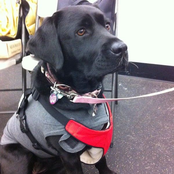 Seattle Humane Society - Woodridge - Bellevue, WA