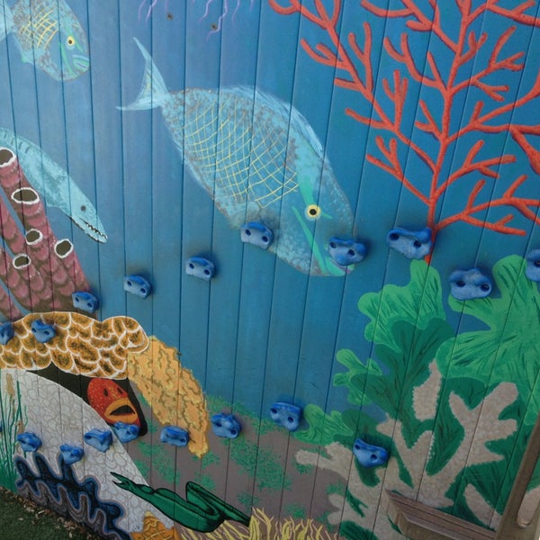 Wildcat Park (Wildcat Wonderland) - Playground