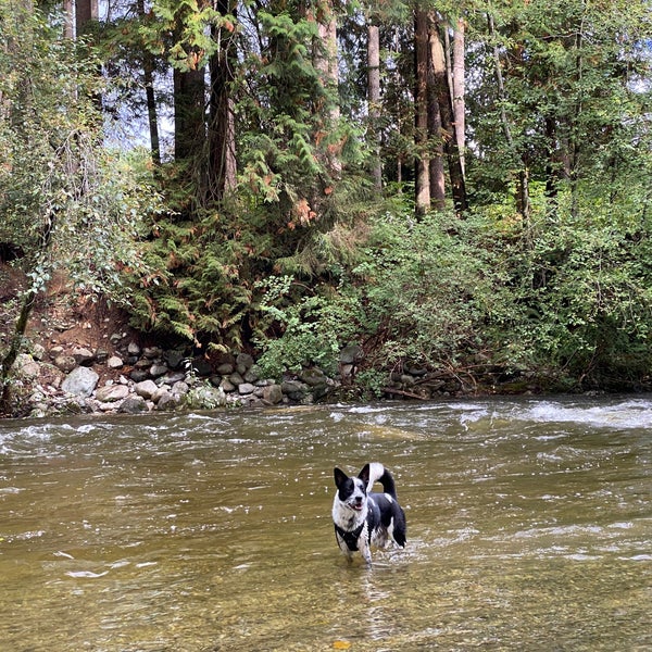 Coquitlam River Trail - 7 tips from 205 visitors