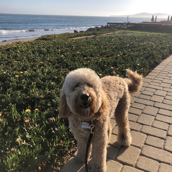 Hammond's beach - Surf Spot