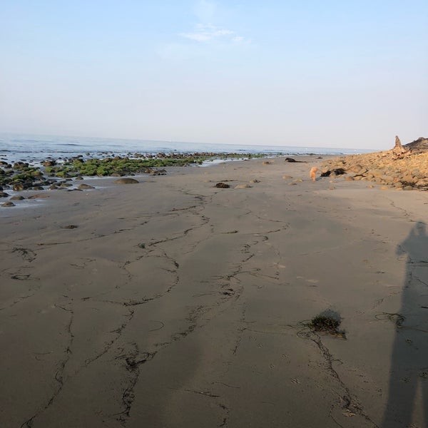 Hammond's beach - Surf Spot