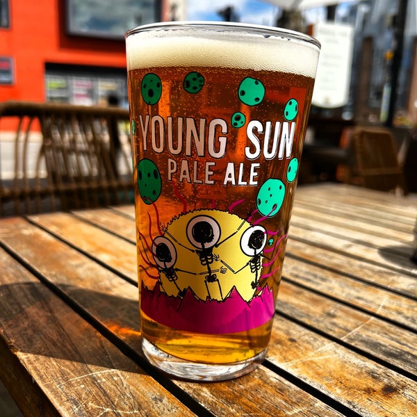 The Orange Tree - Pub