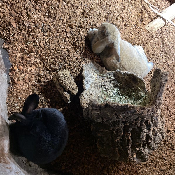 Avonturia De Vogelkelder - Kerketuinen en Zichtenburg - 7 tips from 672 ...