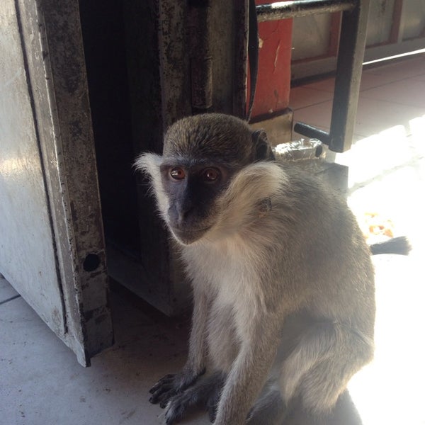 GKM Garage - Maslak - 2. Kısım 25. Sokak