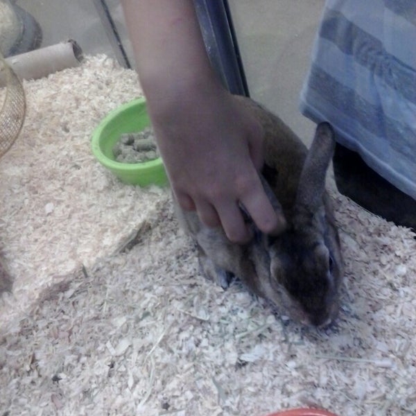 Gentle Jungle - Pet Store in Meriden