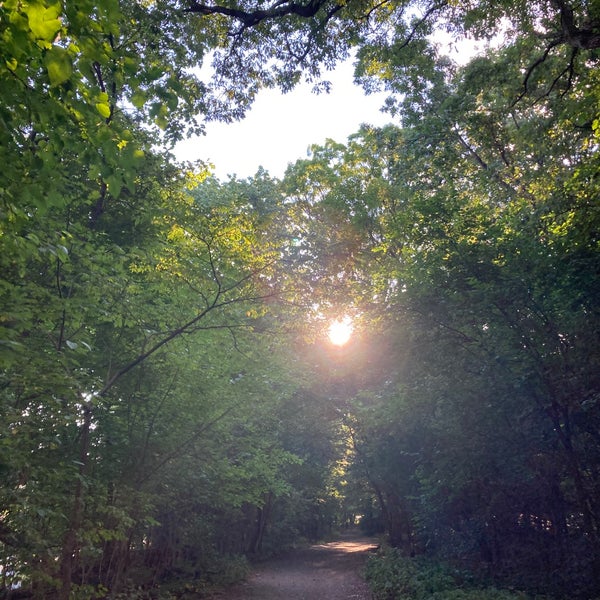 Forest Park - 42 tips