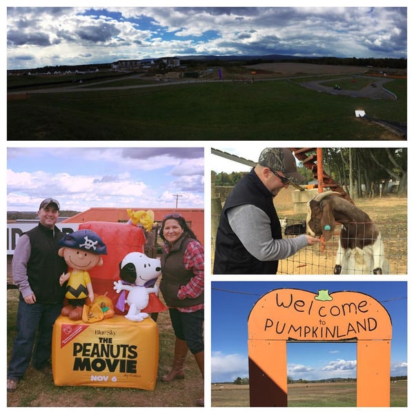 Crumland Farms - 5 tips from 319 visitors