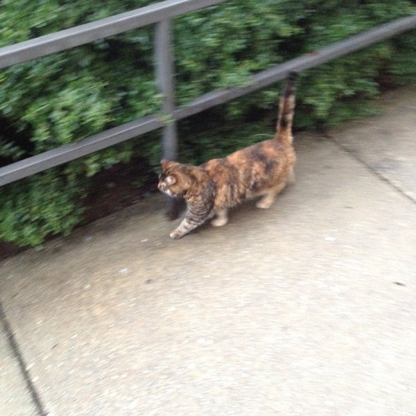 Tichenor Hall - College Academic Building