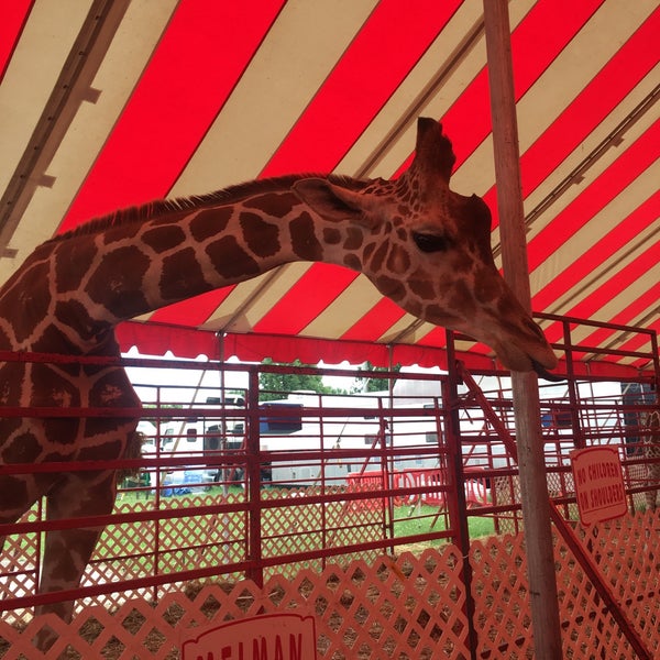 Delaware State Fairgrounds - Harrington, DE