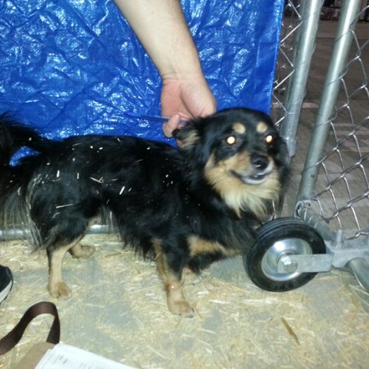 Photos at PetSmart Corporate Headquarters - Office in Phoenix