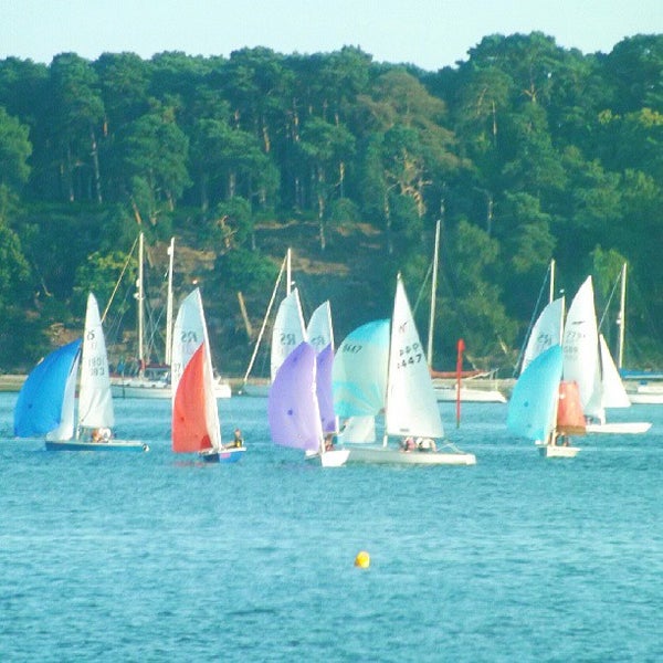 Poole Harbour - 9 tips from 881 visitors