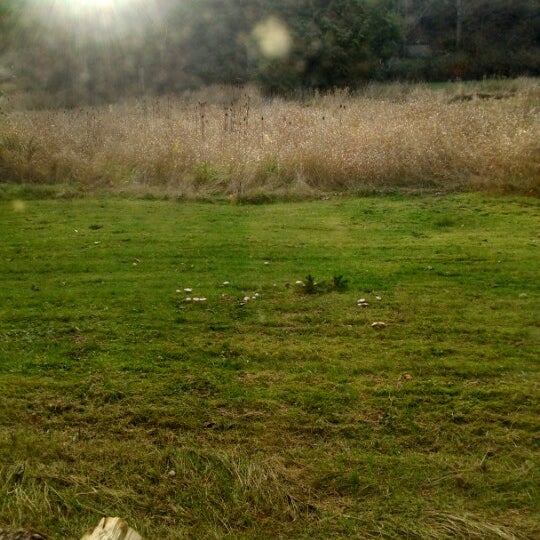 Guemes Island - Beach