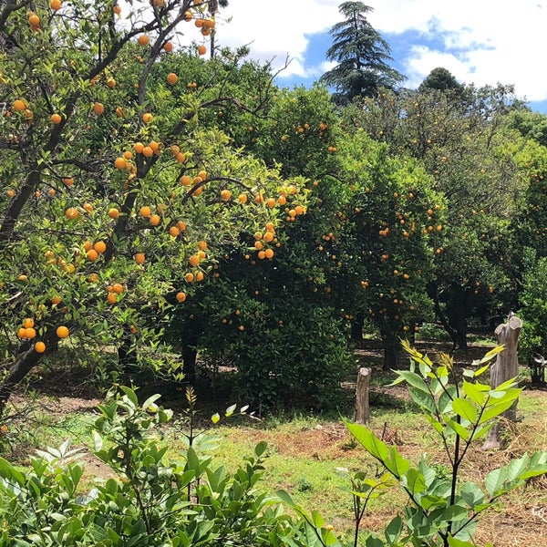 Orcutt Ranch - Canoga Park, CA