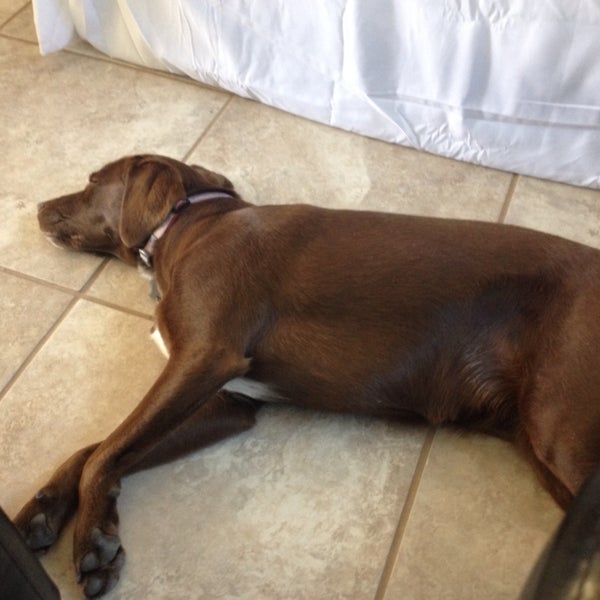 The Arizona Sunset Inn - 1 tip