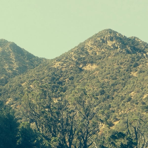 Coronado National Forest