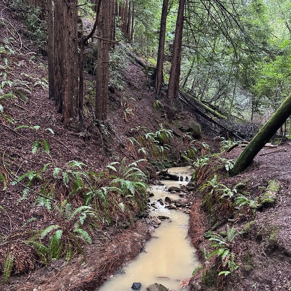 Redwood Park - Skyline Gate - Hiking Trail in Oakland