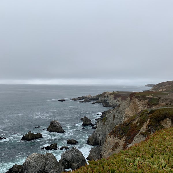 Bodega Head - 11 tips from 1222 visitors