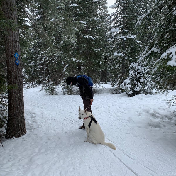 Wanoga Snow Park - 6 tips from 124 visitors