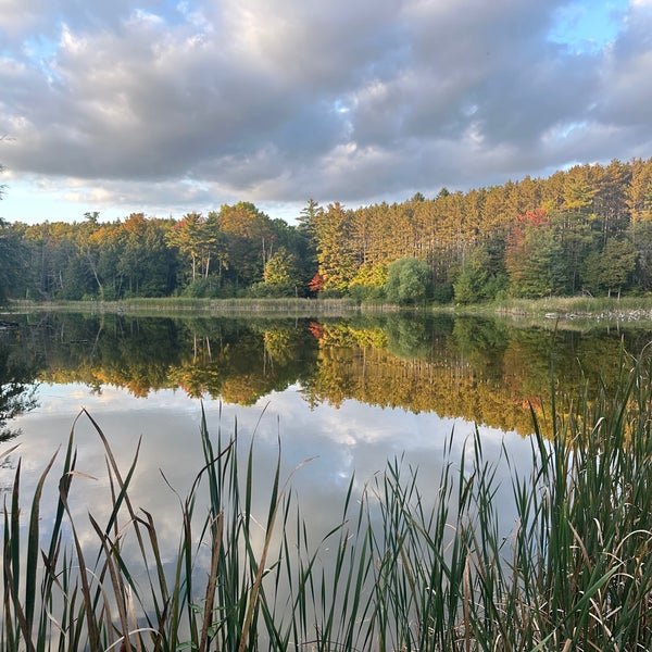 Huron Natural Area - 5 tips from 231 visitors