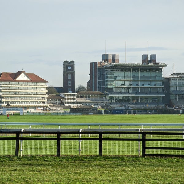 York Racecourse - 14 tips