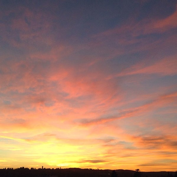 Thompson Flats - Other Great Outdoors in Pullman