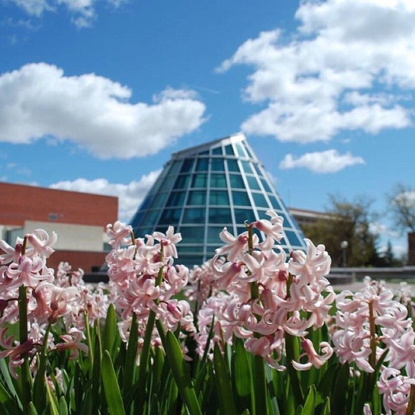 Holland and Terrell Libraries - 1400 NE Terrell Mall
