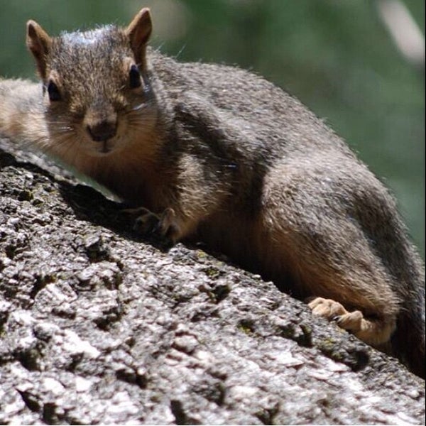 Bryan Hall - Library Rd