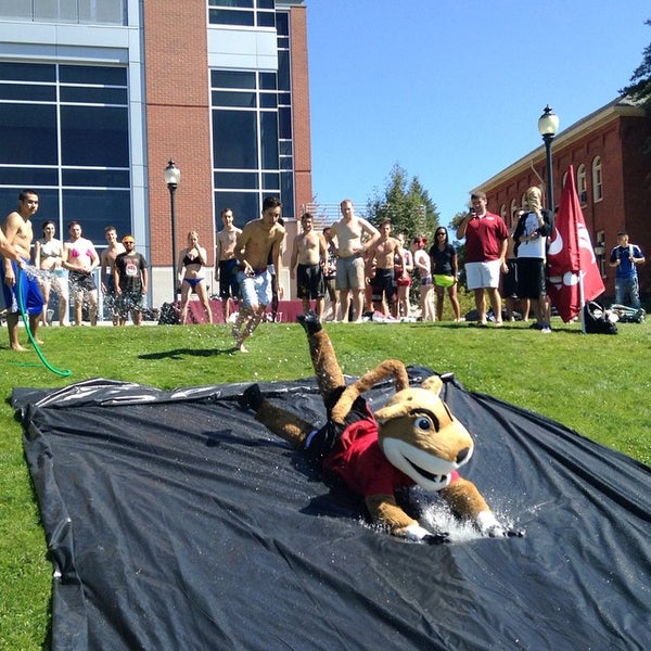 Thompson Flats - Other Great Outdoors in Pullman