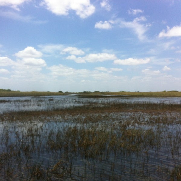 The Everglades - Naples, FL