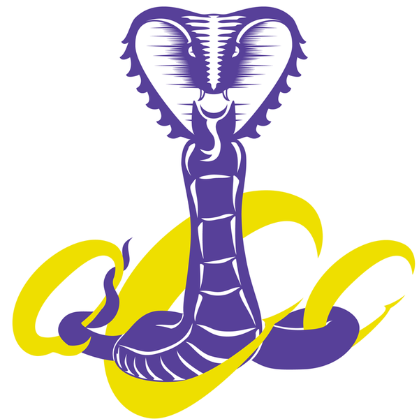 Québec Cobras Cheerleading - Saint-Sauveur - 454, Avenue Marconi