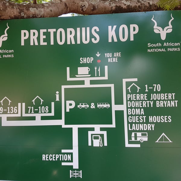 Pretoriuskop - Pretoriuskop, Mpumalanga