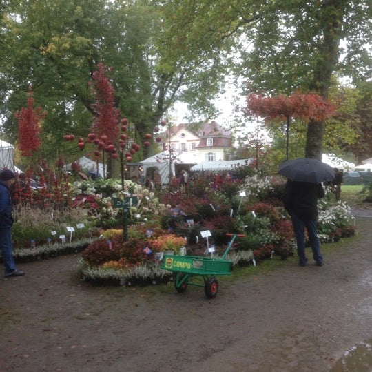 Park van Beervelde - Beervelde-Dorp 75