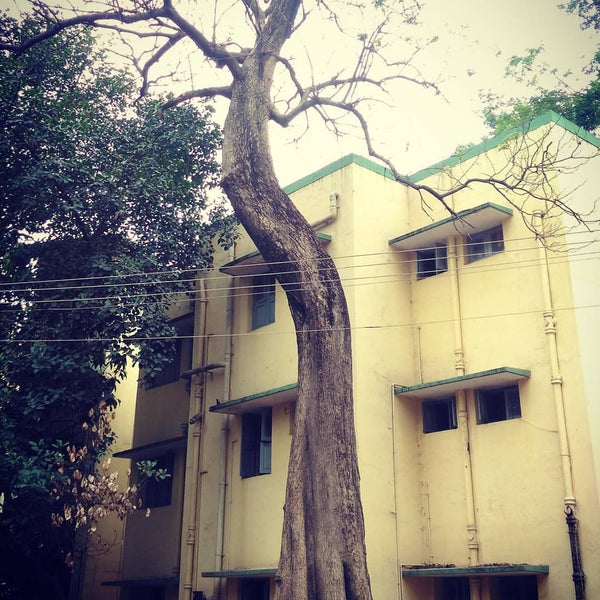 Chakum Chukum (Now Closed) - Snack Place in Domlur
