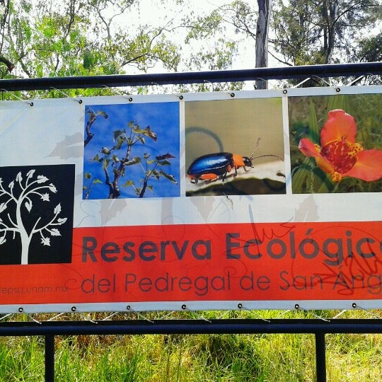 Reserva Ecológica del Pedregal de San Ángel UNAM - Trail