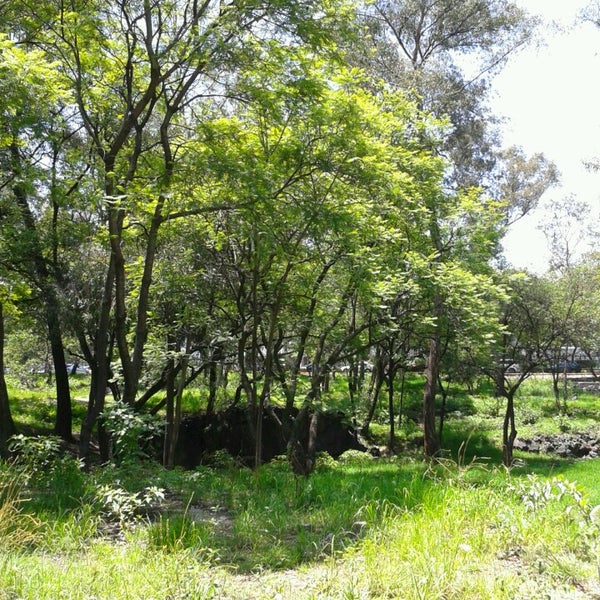 Reserva Ecológica del Pedregal de San Ángel UNAM - Trail