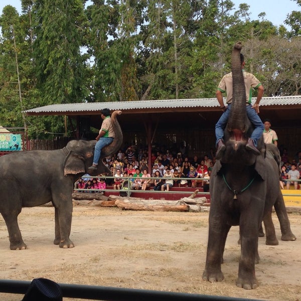 Elephant Show Podium @ A Famosa Resort - 1 tip