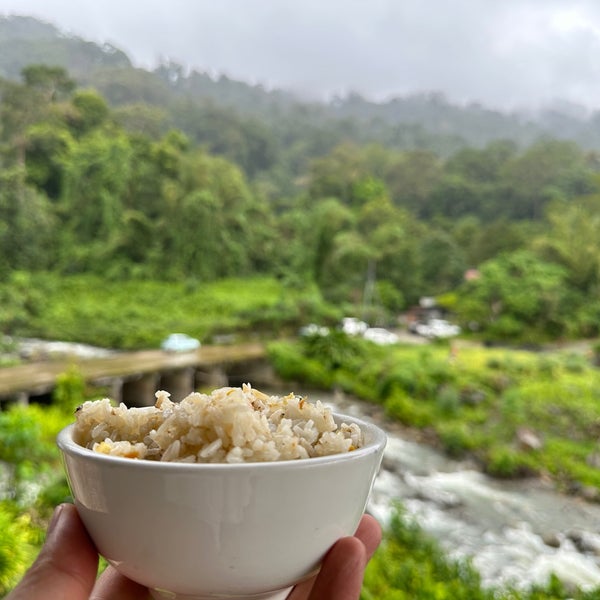 Poring Hot Spring & Nature Reserve - Resort in Ranau