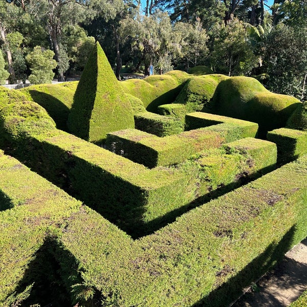 Ashcombe Maze & Lavender Gardens - Garden