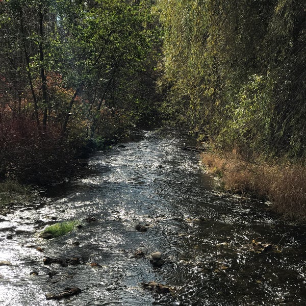 Cedarvale Park - Halton Regional Municipality, ON