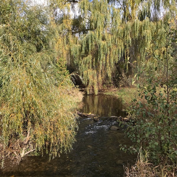 Cedarvale Park - Halton Regional Municipality, ON