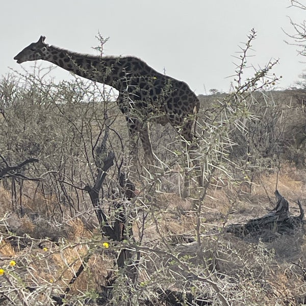 Etosha National Park - Ombika, Kunene