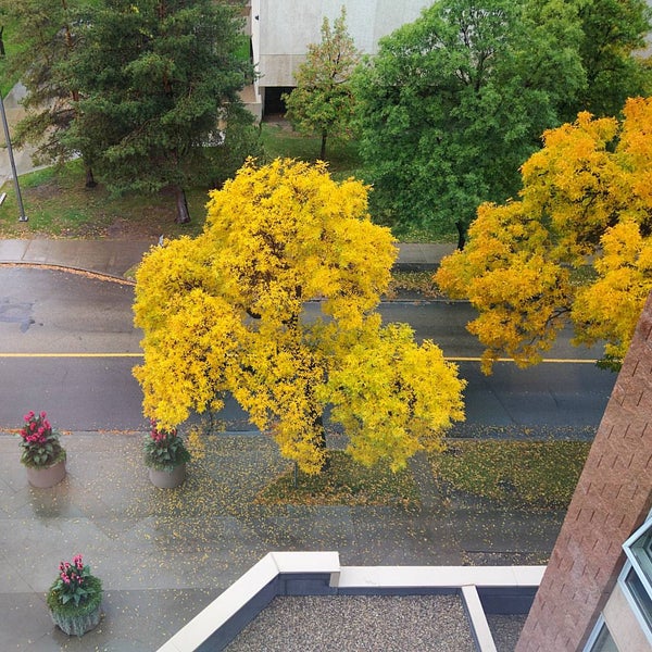 International House - University of Alberta - College Residence Hall in ...