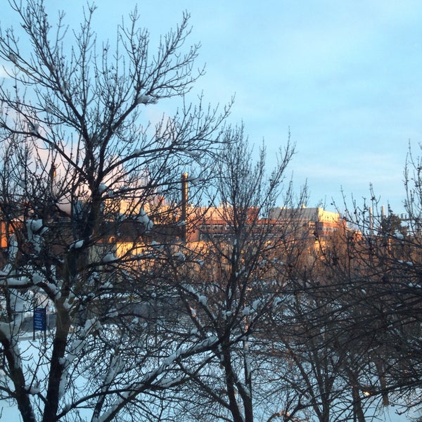 Carlson Library - College Library