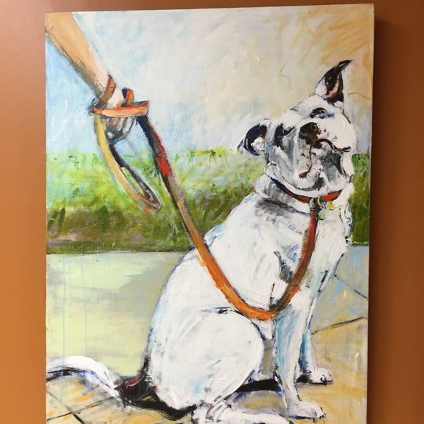 Regional Veterinary Referral Center - Springfield, VA