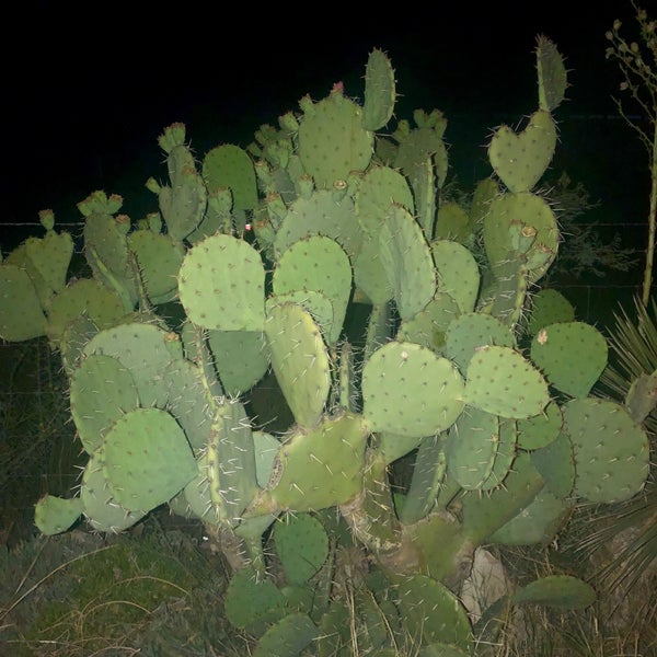 Balmorhea,TX