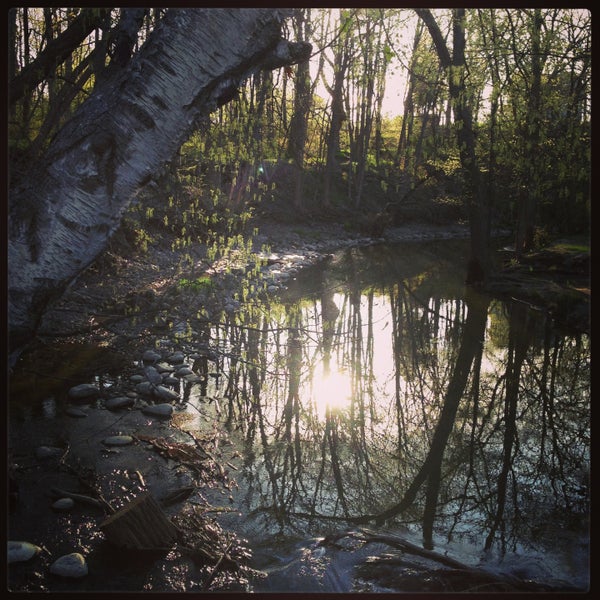 Petrifying Springs County Park - Kenosha, WI